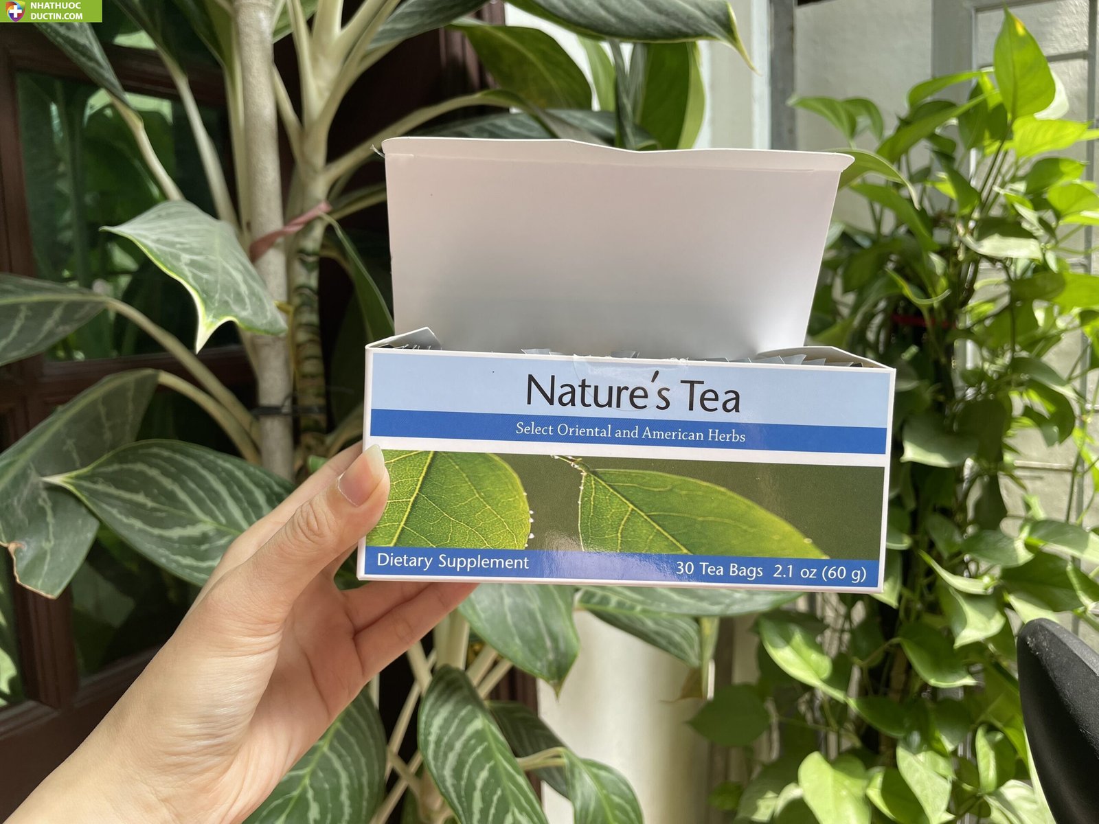 UNICITY NATURE'S TEA - Nhà Thuốc Đức Tín